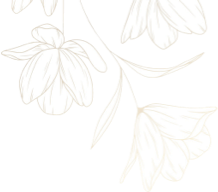 Black Tulip Group - Customer Portal